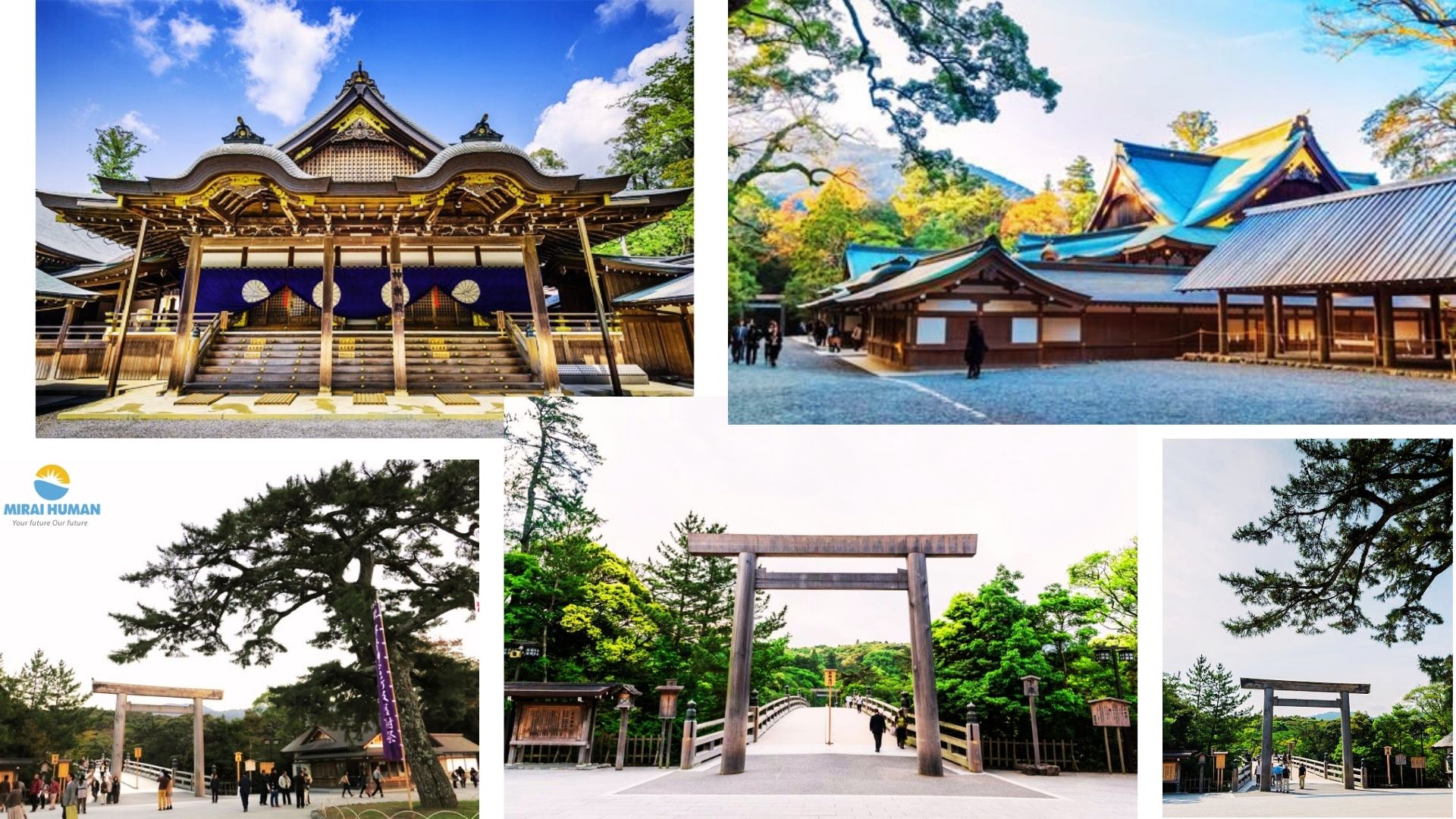 Nguyện ước đầu năm tại top 10 ngôi đền chùa nổi tiếng Nhật Bản