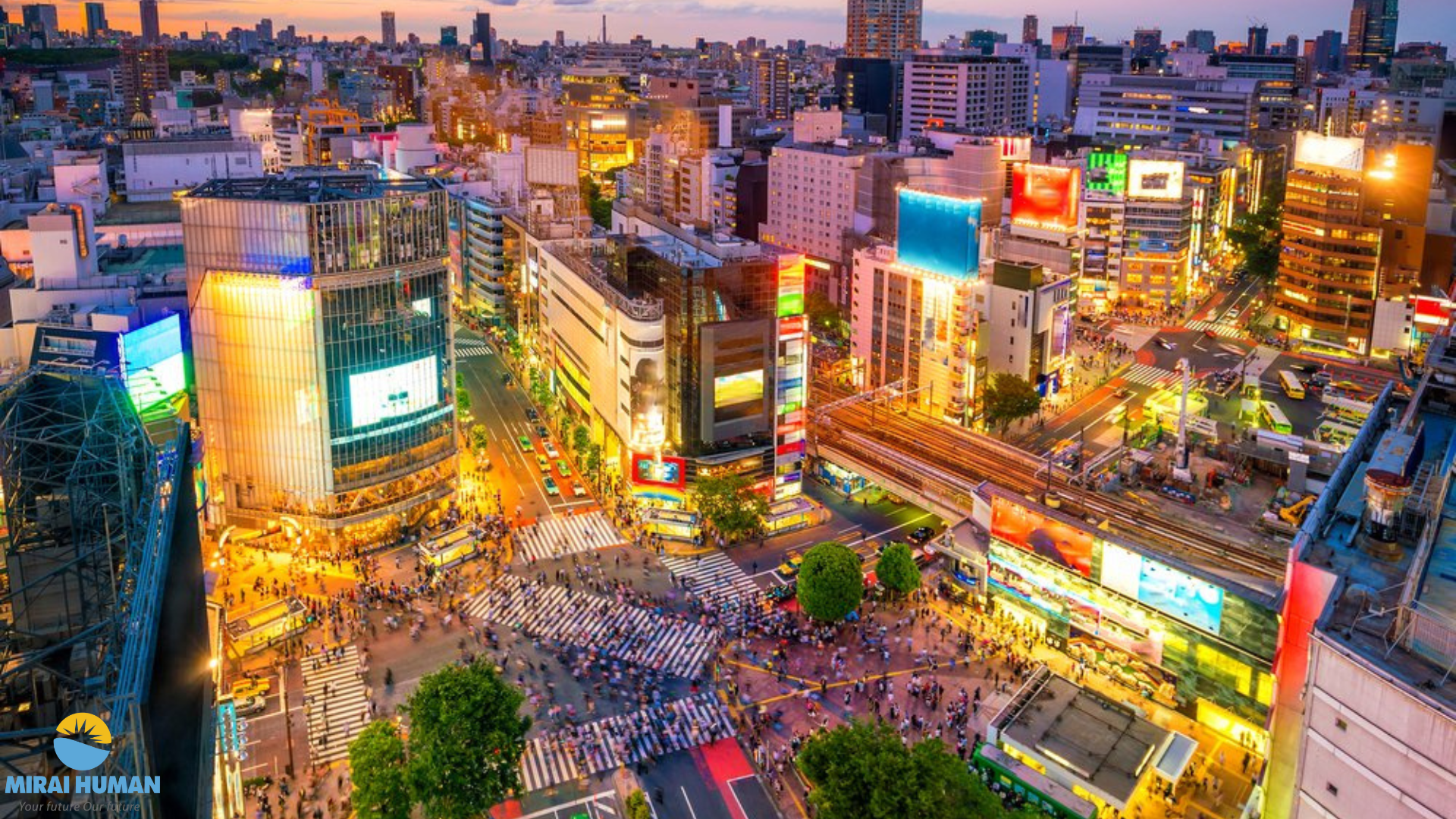 Tokyo thành phố giàu thứ 2 thế giới